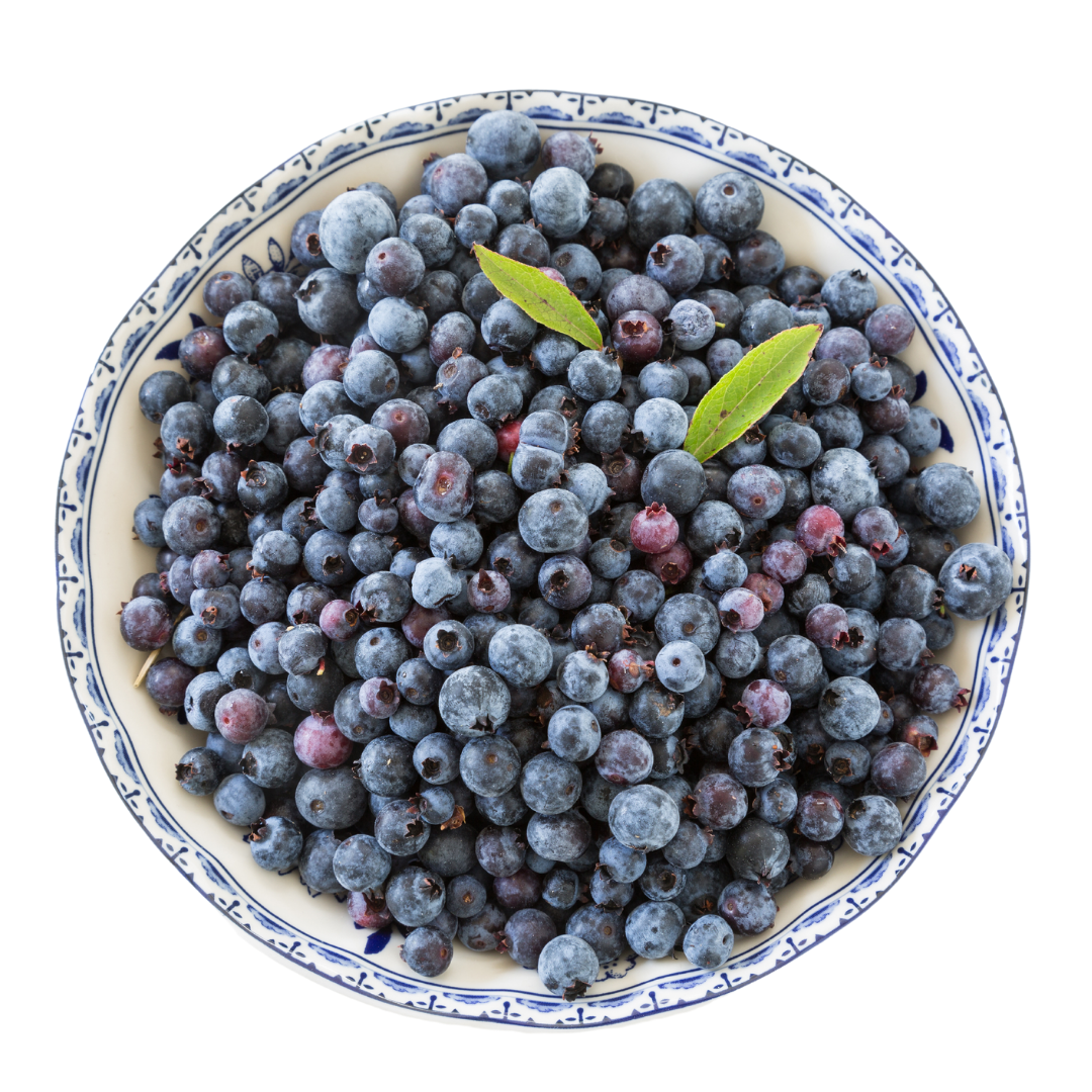 Bleuet sauvage - Mouvement J’aime les fruits et légumes