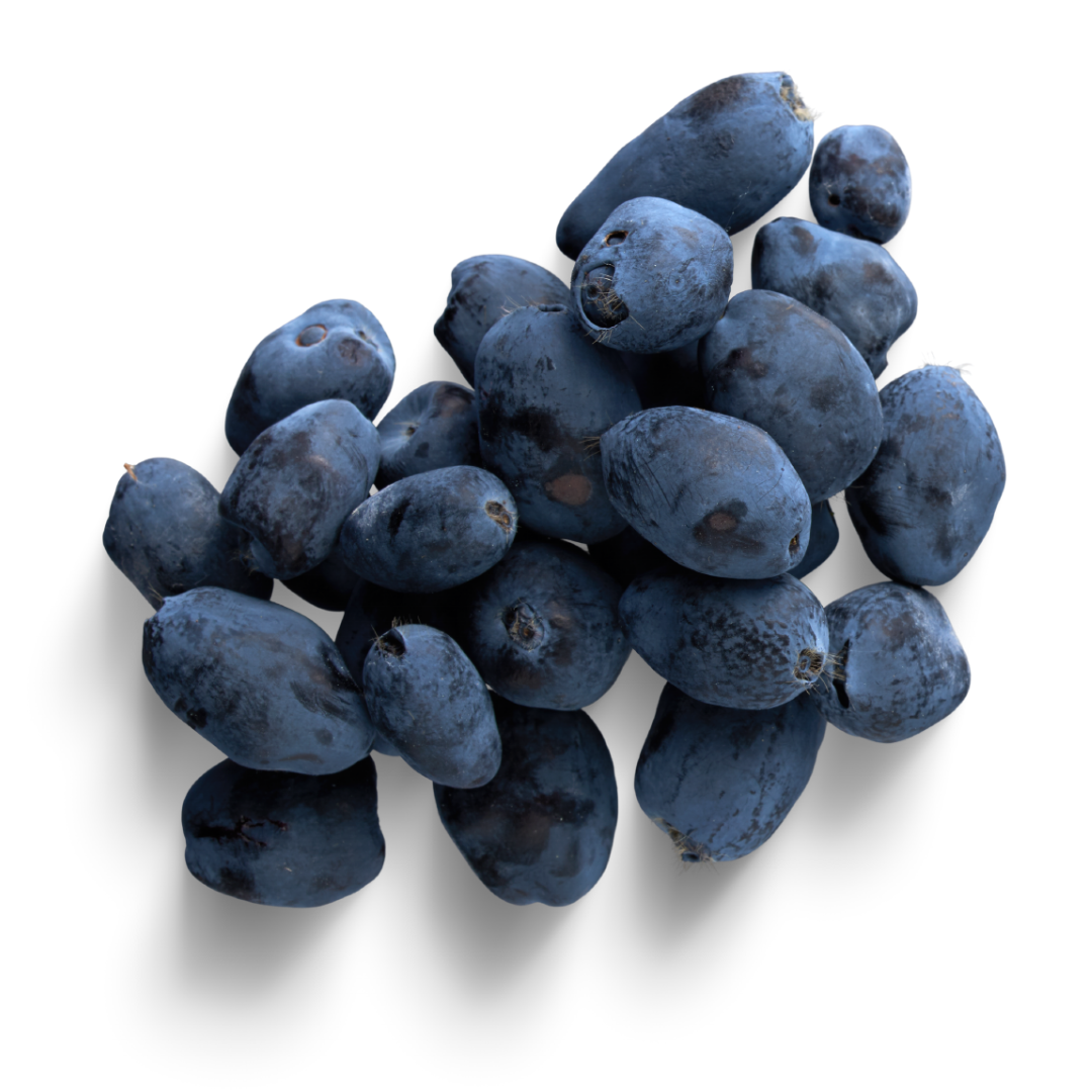 Camerise - Mouvement J’aime les fruits et légumes