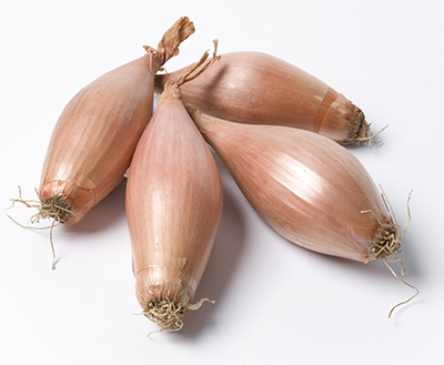 Échalote française - Mouvement J’aime les fruits et légumes