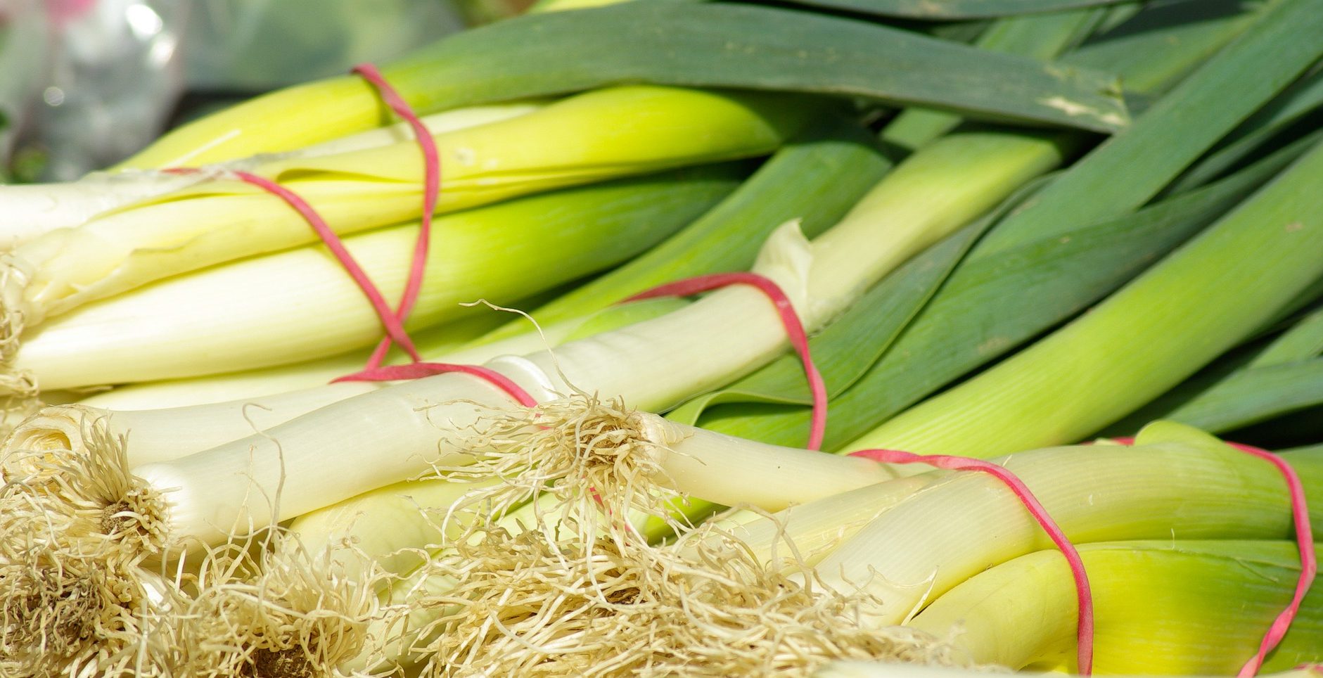 Poireau - Mouvement J’aime les fruits et légumes